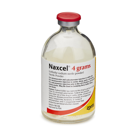 Naxcel Sterile Powder