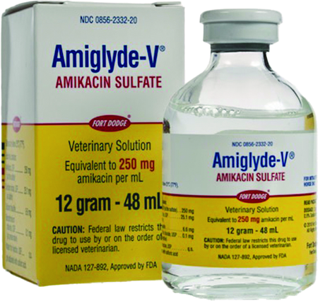 Amiglyde-V Intrauterine Solution, 250mg/mL