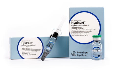 Hyalovet Syringe
