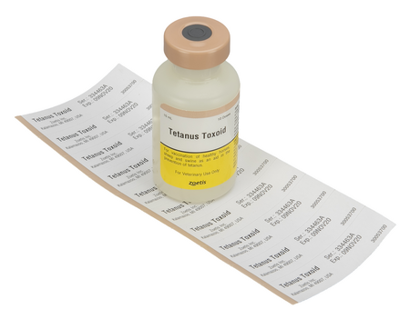 Tetanus Toxoid