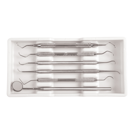 Hand Scaling Kit, Basic with Tray, Set of 6