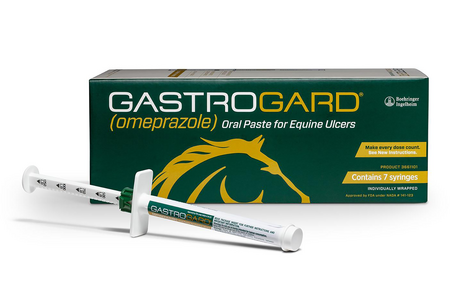 GastroGard Oral Paste, Healing Pack, Distributor Shipped