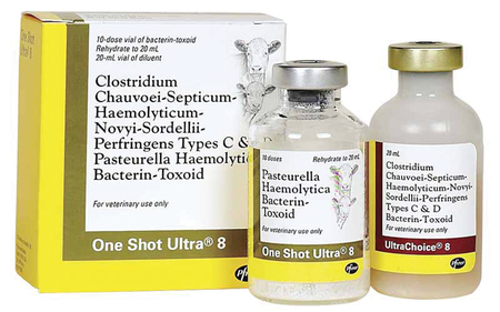 One Shot Ultra 8 Vaccine