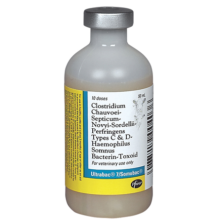 Ultrabac-7/Somubac Vaccine