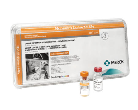 Nobivac Canine 3-DAPv Vaccine