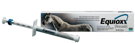 Equioxx Oral Paste Syringe