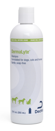 DermaLyte Shampoo