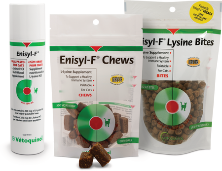 Enisyl-F Lysine Bites for Cats