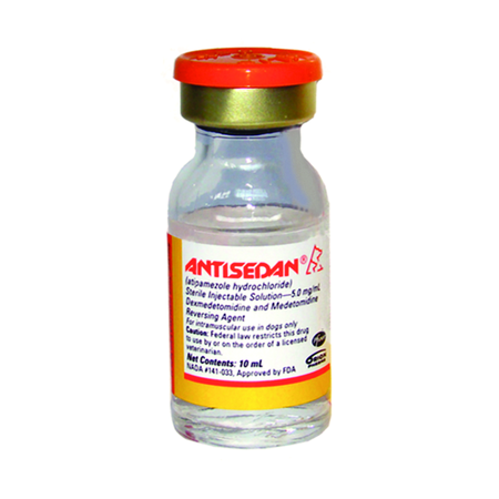 Antisedan Injection