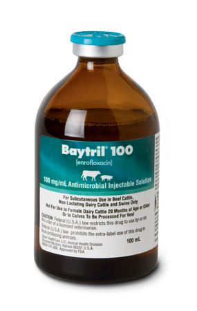 Baytril 100 Antimicrobial Injectable Solution, Large Animal, 100mg/mL