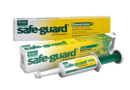 SafeGuard 10% Paste