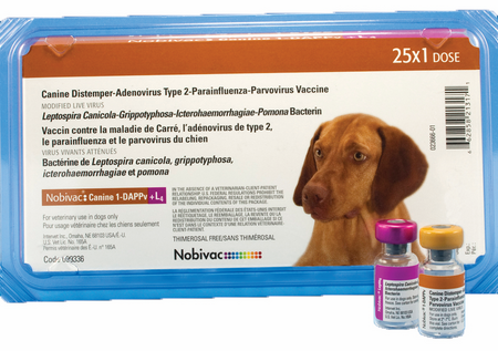 Nobivac Canine 1-DAPPv+L4 Vaccine