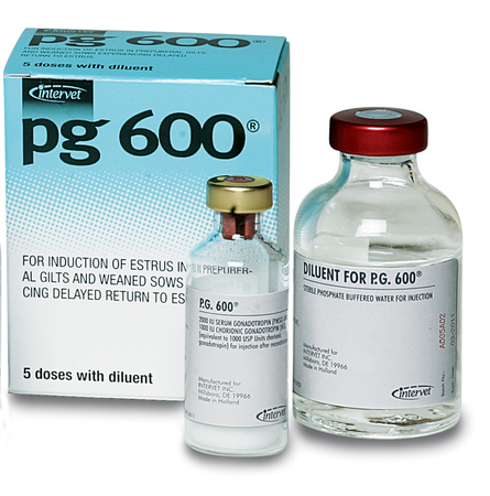 P.G. 600 Injectable, 5mg/mL