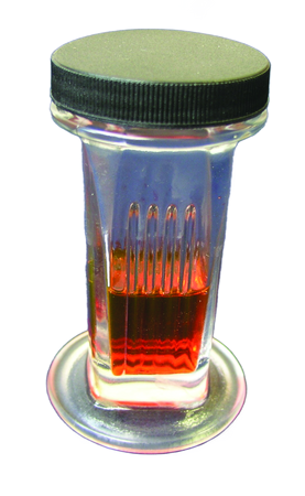 Coplin Jar, with Cover, Glass