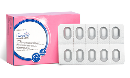 Prascend Tablets for Horses, 1mg