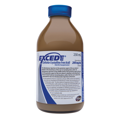 Excede Injection for Cattle and Horses, 200mg/mL