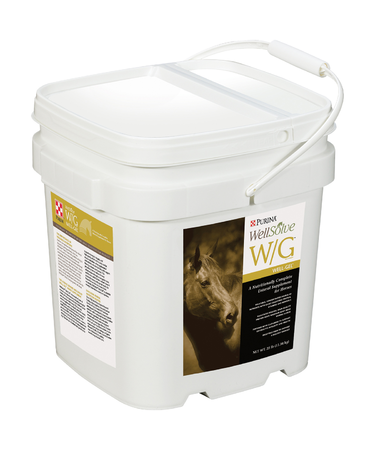 Wellsolve Well-Gel W/G Equine Supplement