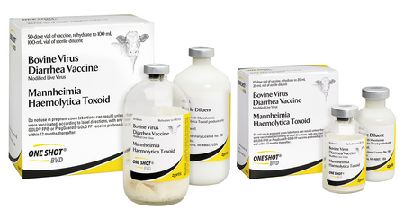 One Shot BVD Vaccine