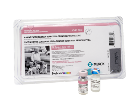 Nobivac Canine Intra-Trac KC Vaccine