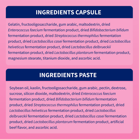 Proviable-Forte Kit for Dogs over 20 lb, 30mL Paste and 15 Capsules