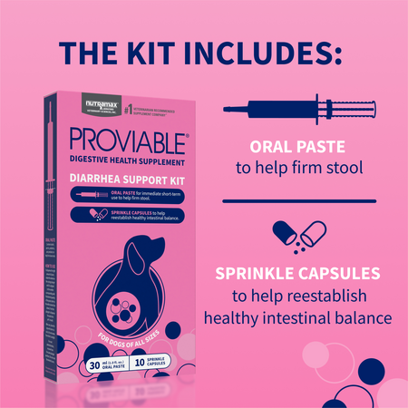 Proviable-Forte Kit for Dogs over 20 lb, 30mL Paste and 15 Capsules