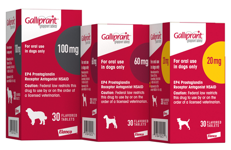 Galliprant (Grapiprant) Tablets, 100mg