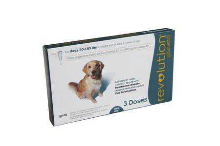 Revolution Topical for Dogs, 240mg, Teal, 40.1-85 lb