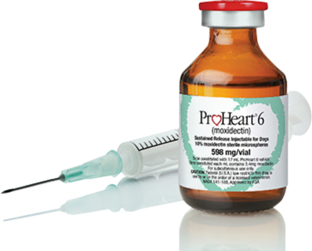ProHeart 6 (moxidectin) Injection