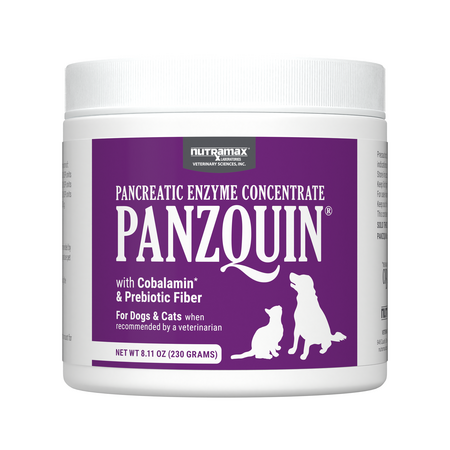 Panzquin Pancreatic Enzyme Concentrate