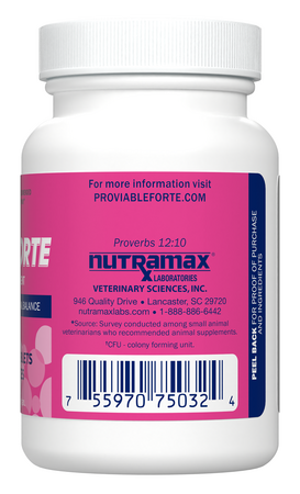Proviable-Forte Digestive Health Supplement