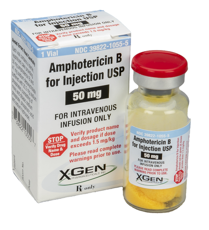 Amphotericin B Injection, Preservative-Free, 50mg