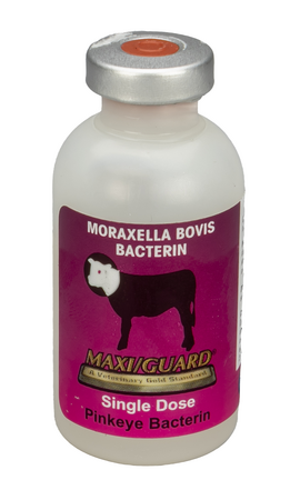 Maxi/Guard Pinkeye Bacterin Vaccine, 20mL