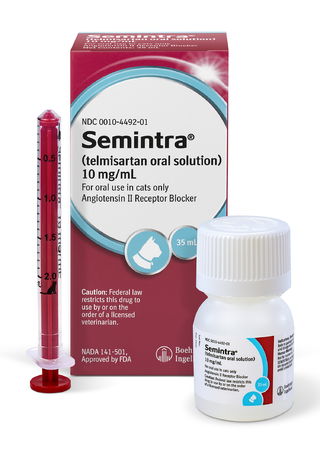 Semintra Oral Solution 10mg/mL
