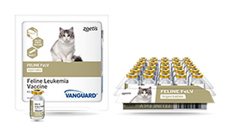 Vanguard Feline FeLV