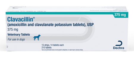 Clavacillin (Amoxicillin Trihydrate and Clavulanate Potassium) Tablets ...