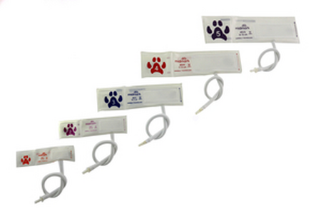 Blood Pressure Cuff, Small Animal, Set
