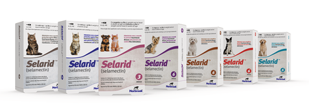 Selarid (Selamectin) Spot On for Dogs, 240mg, Teal, 40.1-85 lb