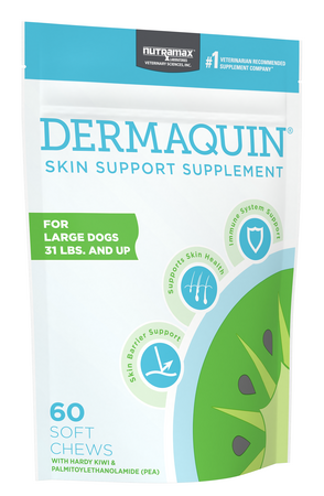 Dermaquin Soft Chews for Large Dogs, 31+ lbs