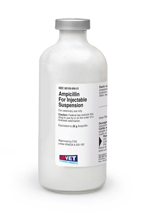 Ampicillin Trihydrate Suspension for Injection