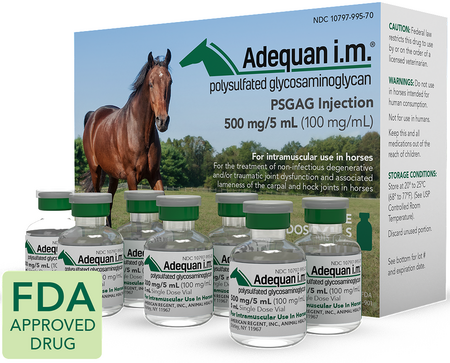 Adequan I.M., Equine, Single Dose