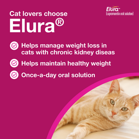 Elura (Capromorelin) Oral Solution for Cats, 20mg/mL