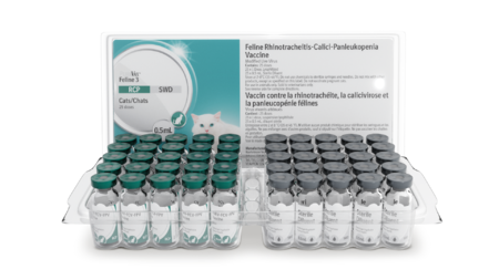 PureVax Feline Rabies, 3 Year, 0.5mL, VSCF Only