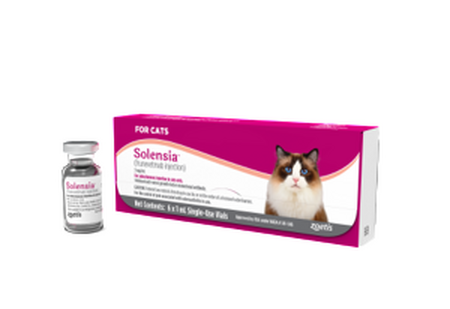Solensia Injection for Cats, 7mg/mL, MVP Only