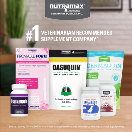 Dasuquin Advanced with Egg Shell Membrane Soft Chews for Large Dogs