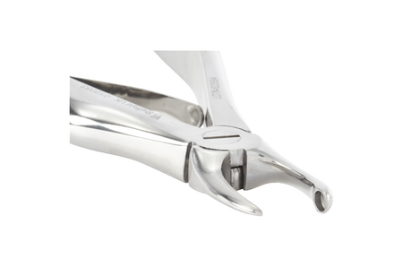 Tartar Forceps, Cup and Point Style, Feline