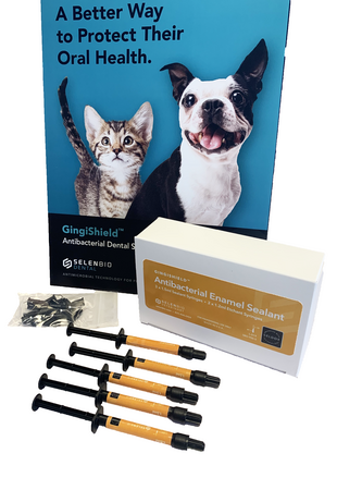 GingiShield Dental Sealant Syringe Bulk Pack