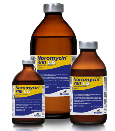 Noromycin 300 LA Injection