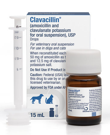 Clavacillin (Amoxicillin and Clavulanate Potassium Oral Suspension ...