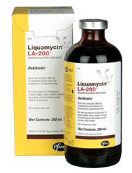 Naxcel Sterile Powder