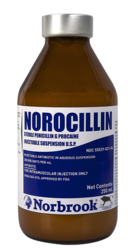 Norocillin Injection